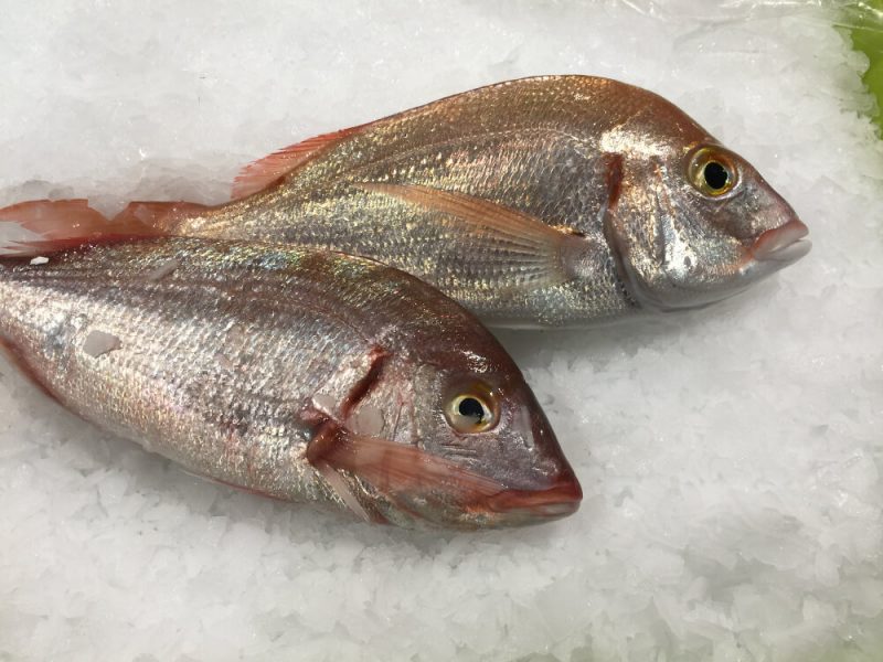 Peix fresc - Ortefish